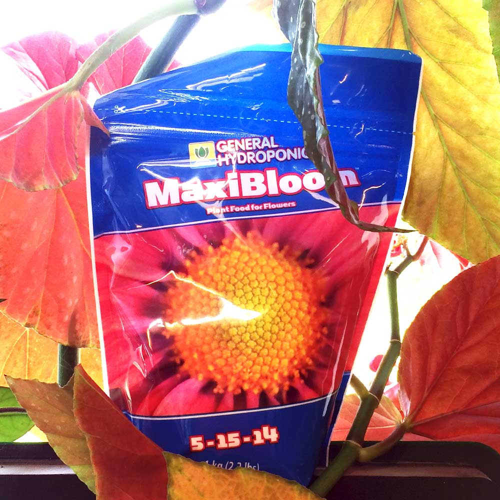 General Hydroponics® MaxiBloom™ 5 - 15 - 14 (2.2lb / 1kg) - PA Hydroponics