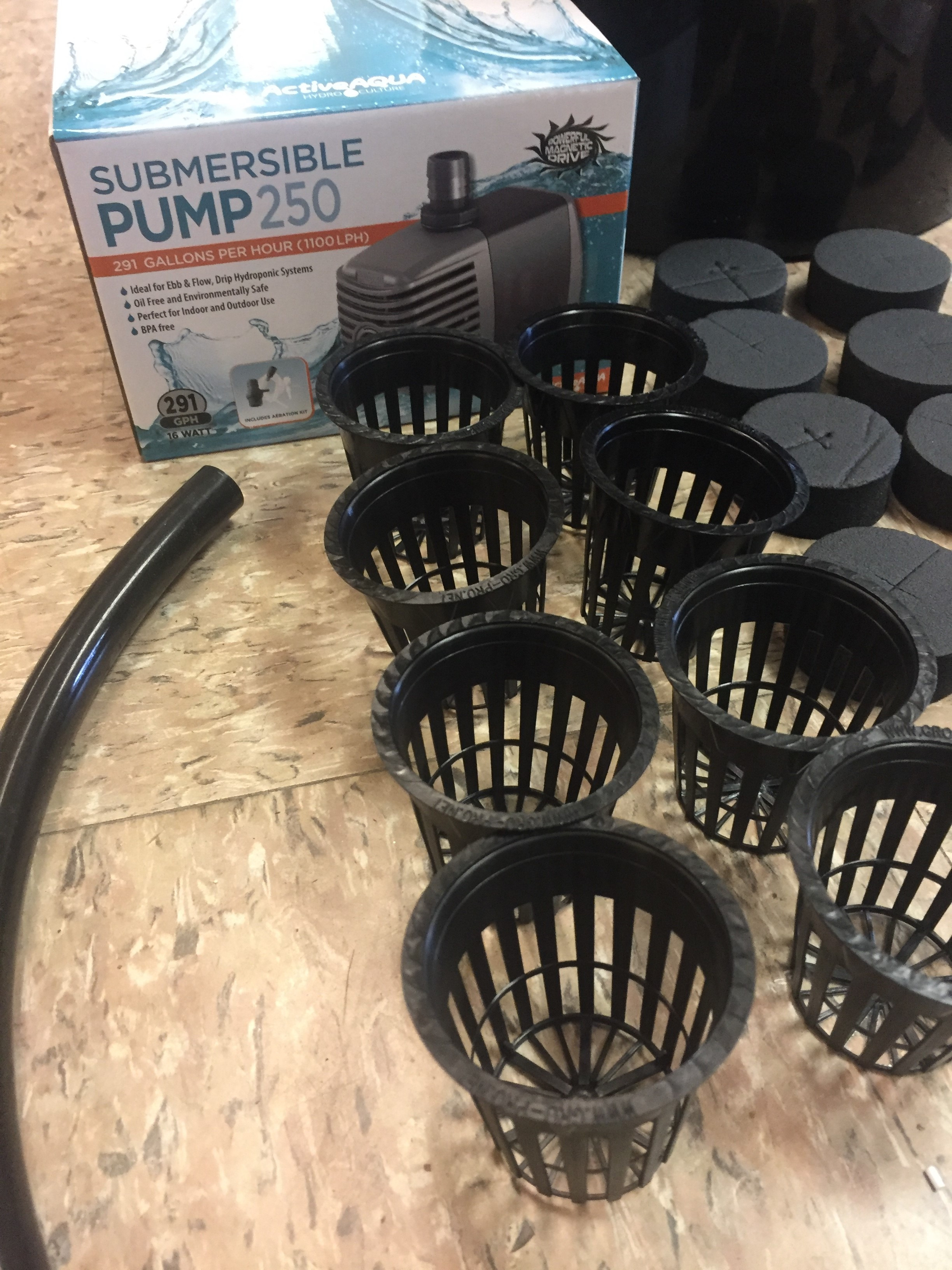 Cloning & Seedlings - PA Hydroponics