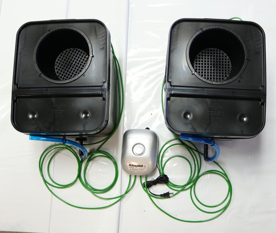 Hydroponics Dwc Buckets Pa Hydroponics