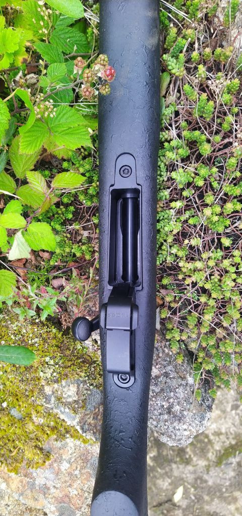 Remington 700 .223 Custom Long Range (0.5 MOA Guarantee @ 100m)