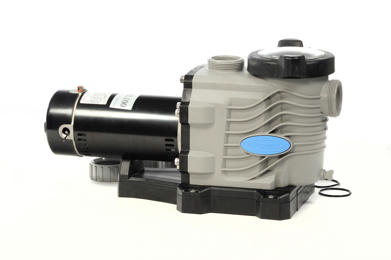 Blue Torrent Pro Series 1 HP In Ground Swimming Pool Pump - Island ...