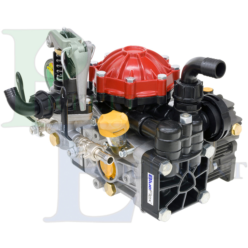 AR30 two-diaphragm spray pump