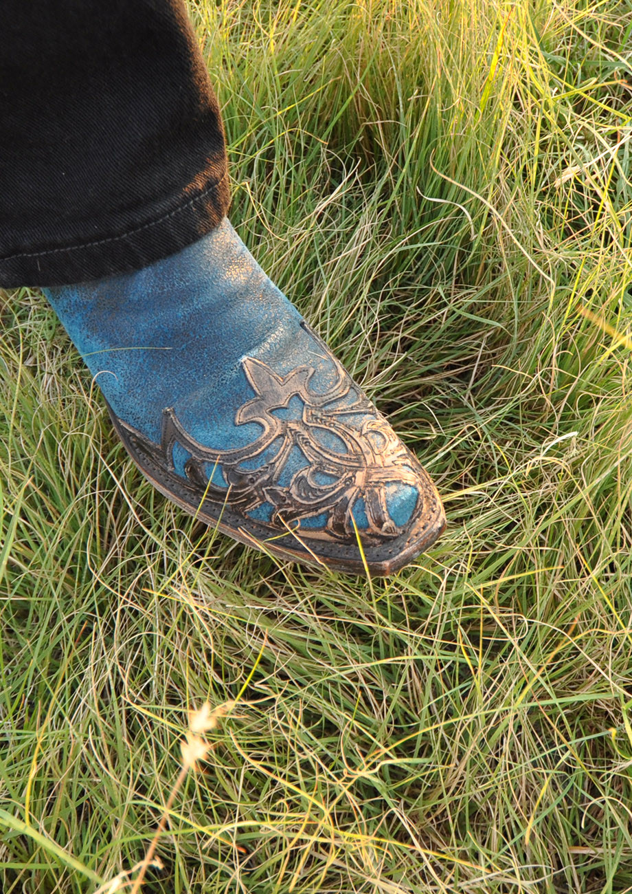 Buffalograss | Native American Seed