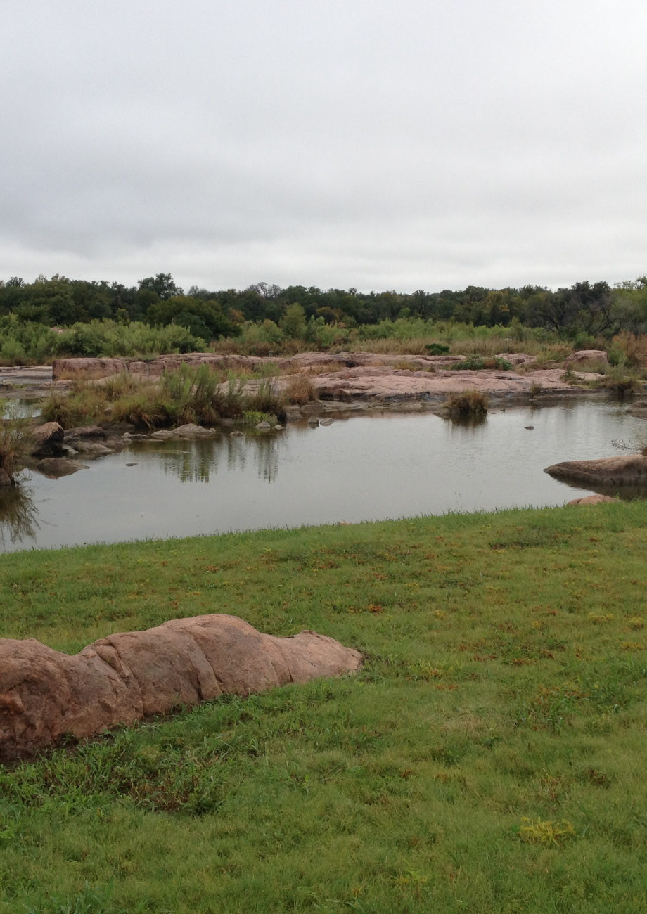 Native Sun Turf | Native American Seed