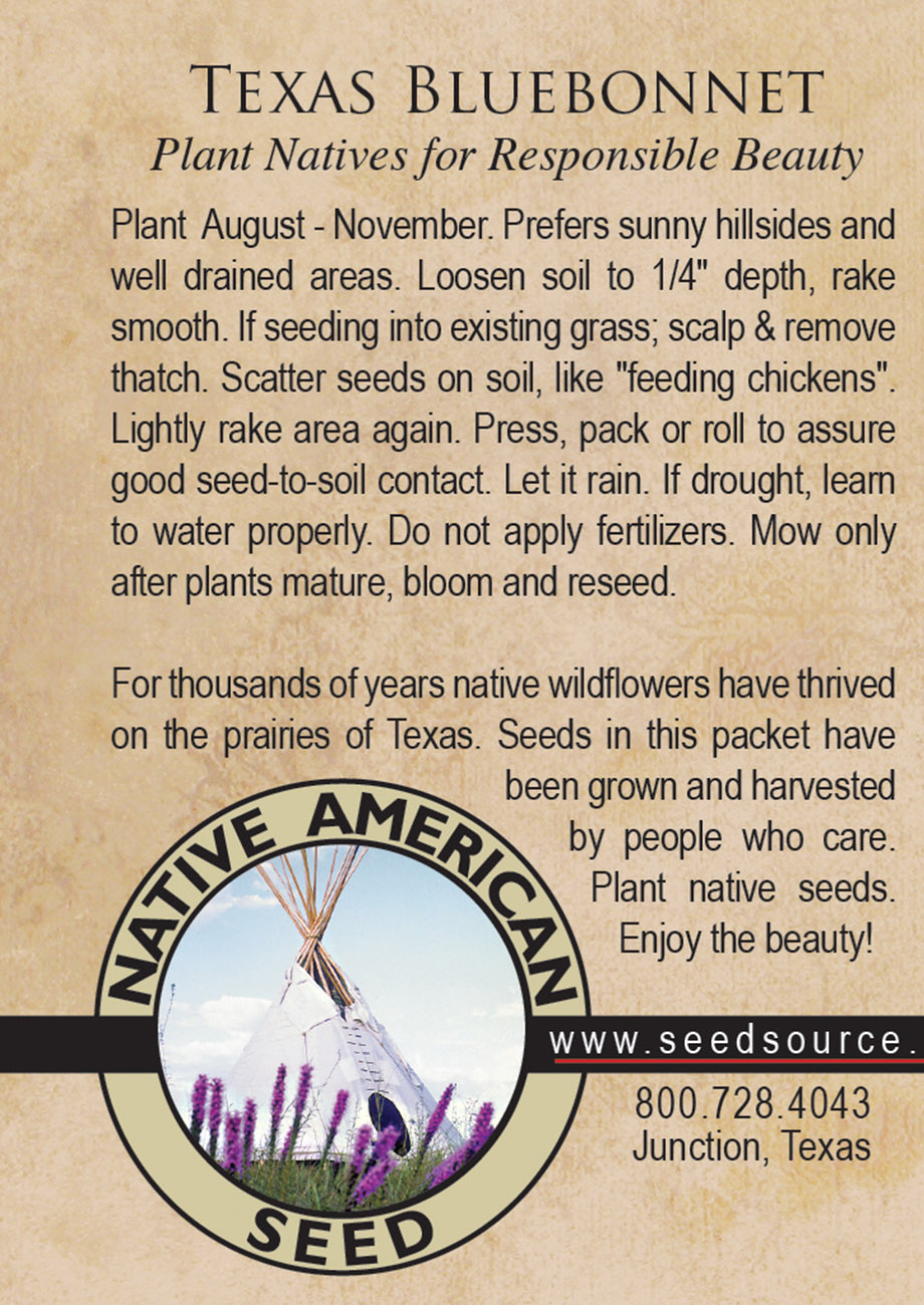 Texas Bluebonnet Gift Packets