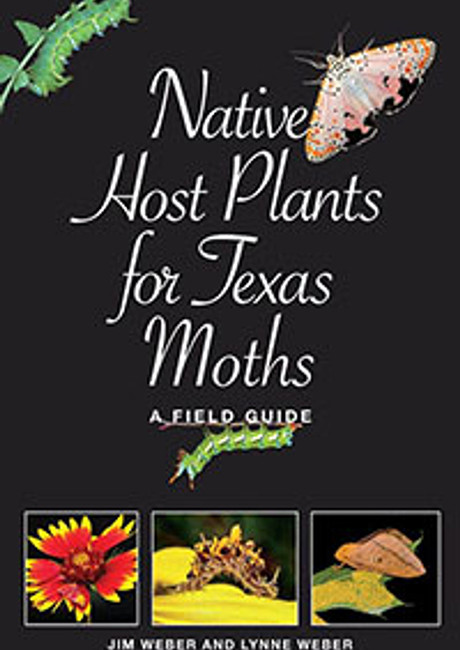 Native Texas Mix | Native American Seed