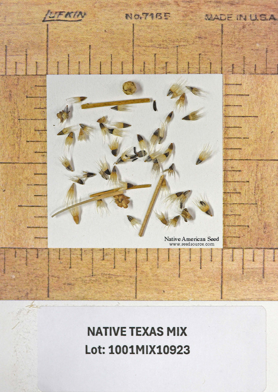 Native Texas Mix | Native American Seed