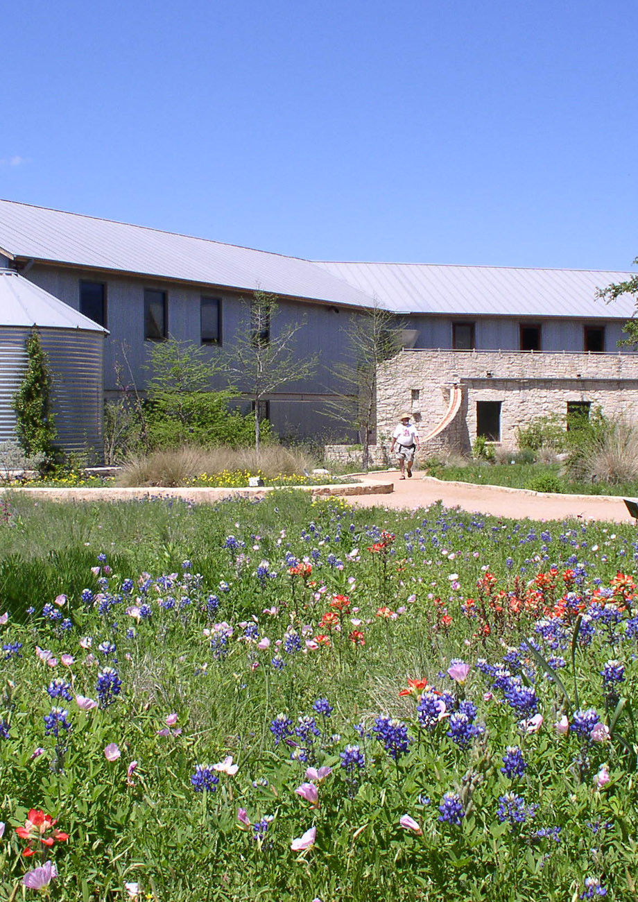 Native Seeds | Native American Seed