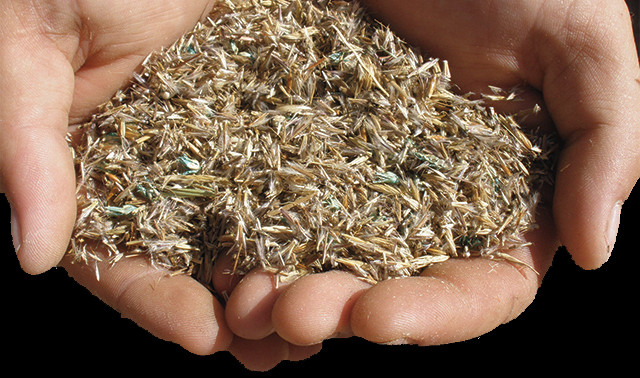 Seed Mixes | Native American Seed