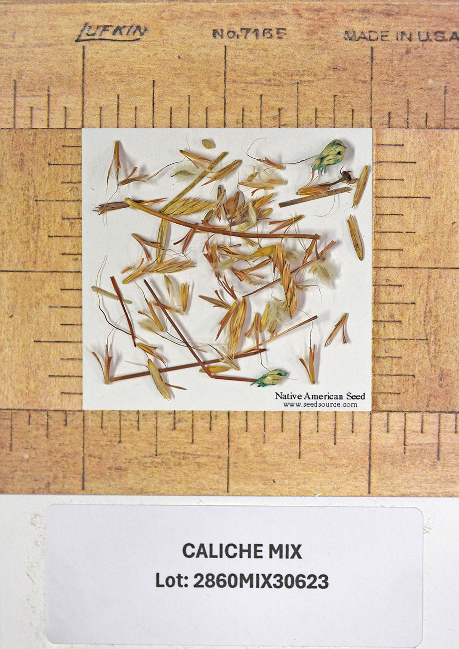 Caliche Mix | Native American Seed