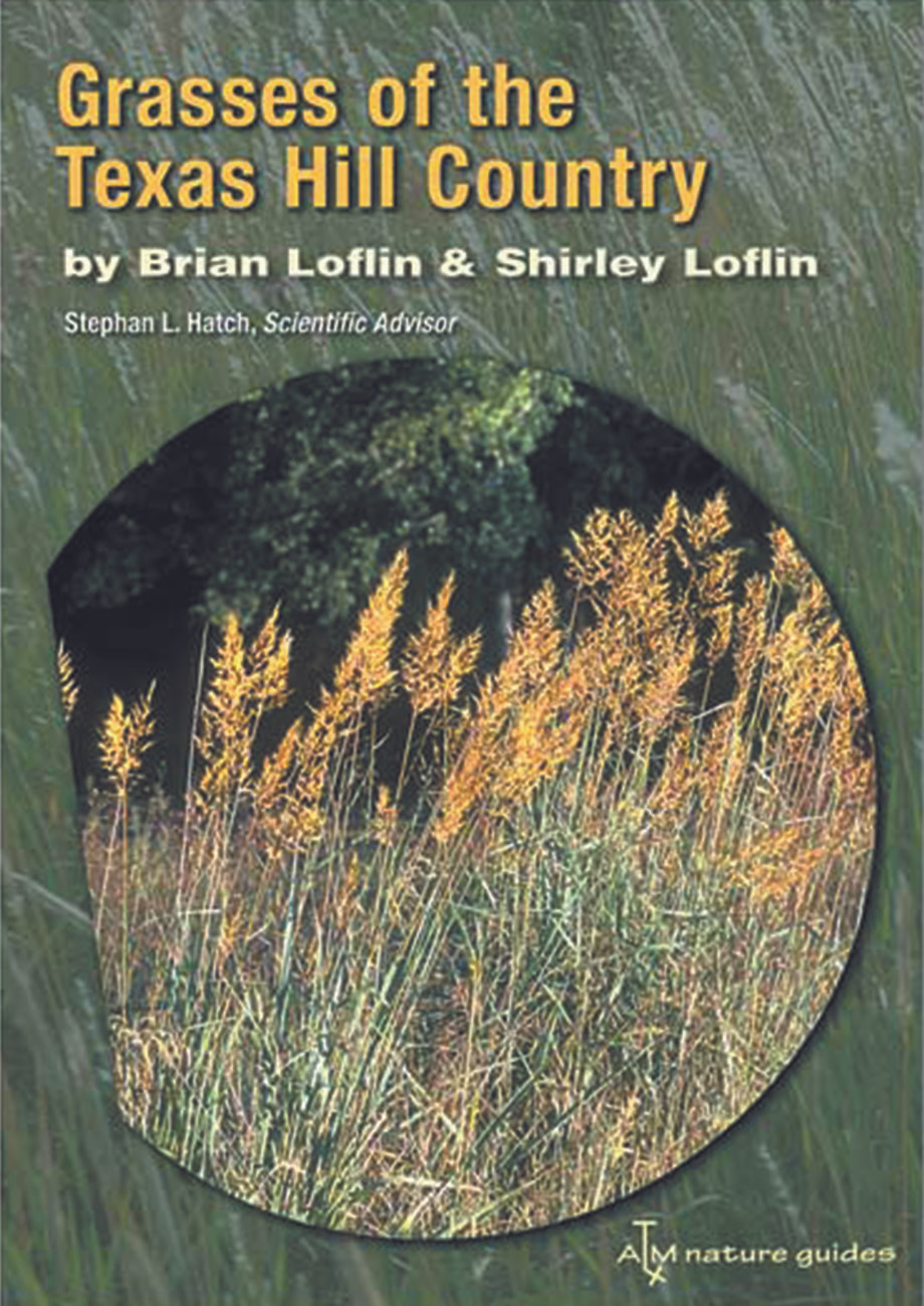 Field Guide To Common Texas Grasses | Native American Seed