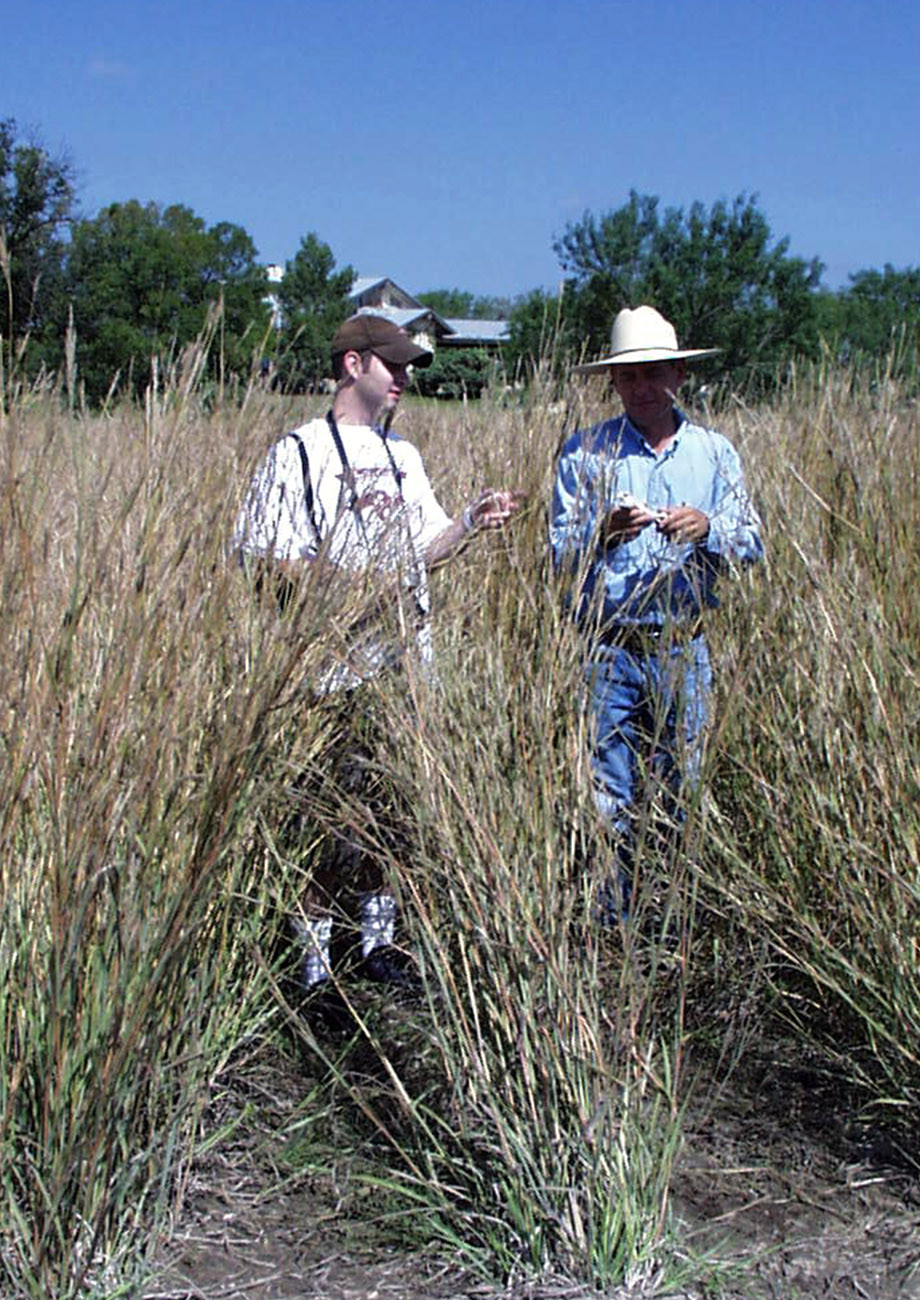 Big Bluestem Roots | Native American Seed