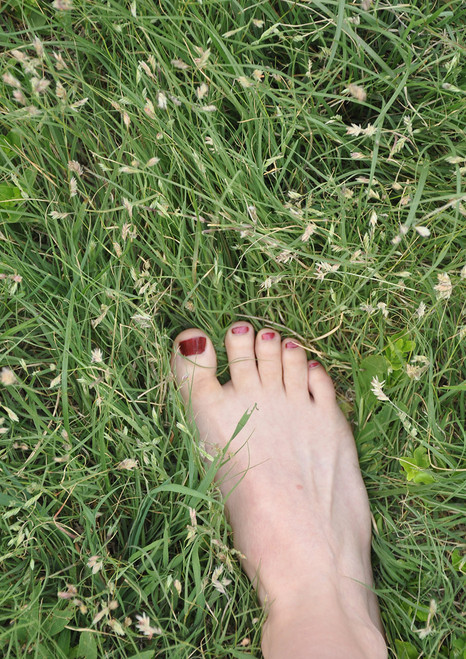 Buffalograss | Native American Seed