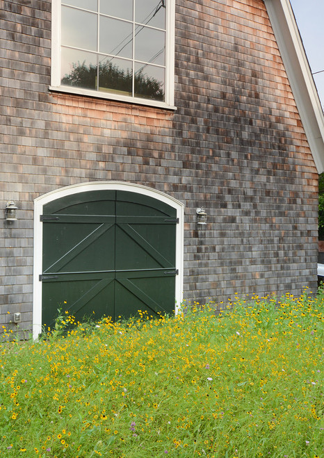 Native Trail Mix | Native American Seed