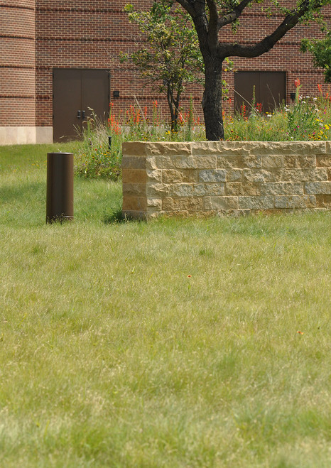 Thunder Turf | Native American Seed