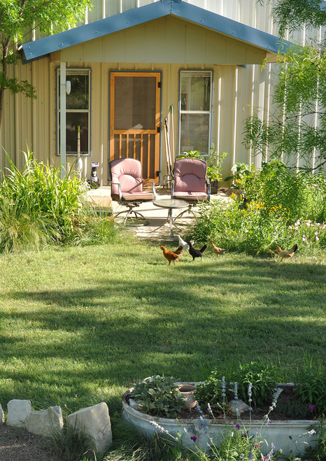 Thunder Turf | Native American Seed