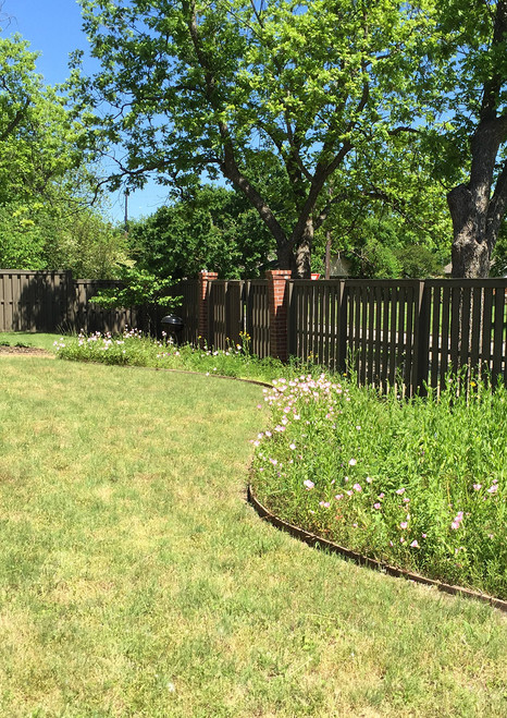 Thunder Turf | Native American Seed