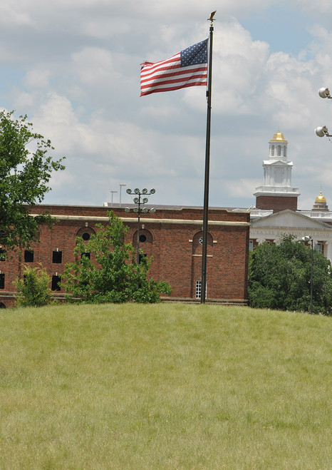 Thunder Turf | Native American Seed