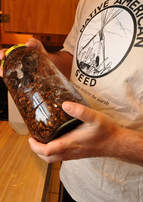 Antelope Horn | Native American Seed