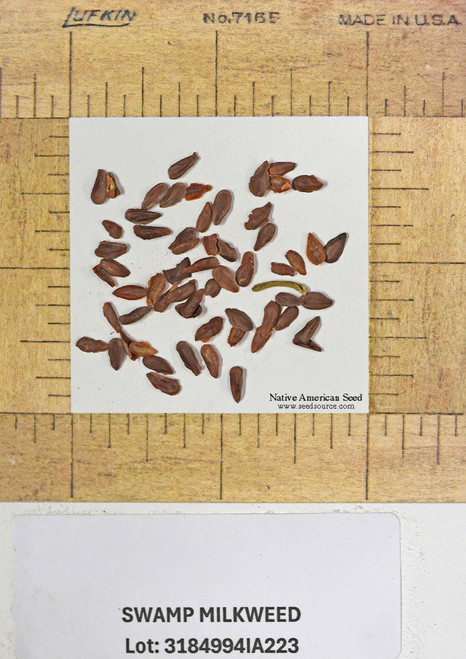 Swamp Milkweed | Native American Seed
