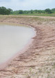 Dam Slope Mix | Native American Seed