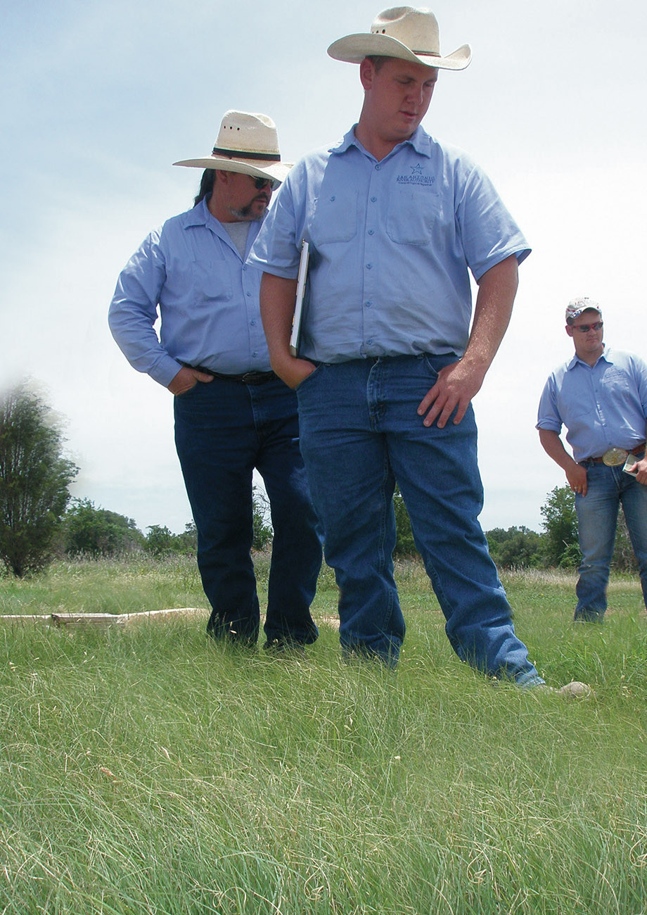 Buffalograss | Native American Seed