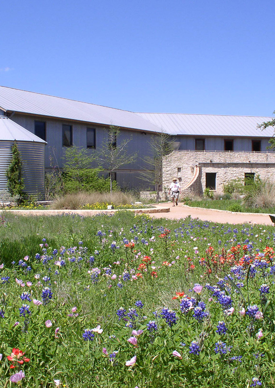 Native Seeds | Native American Seed