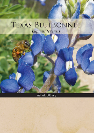 Texas Bluebonnet Gift Packets