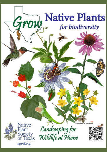 Grow Native Garden Sign | Native American Seed
