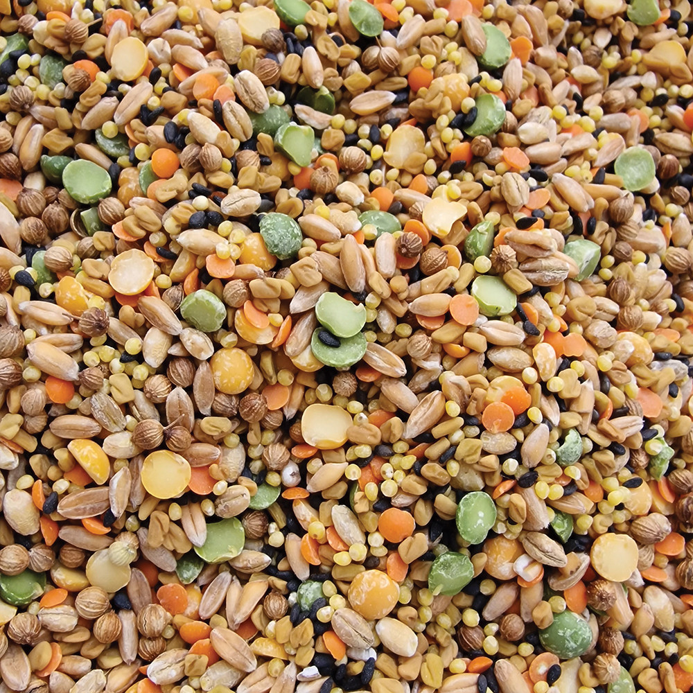 Polly's Organic Soak n Mix Blend Parrot Food 600g - Northern Parrots