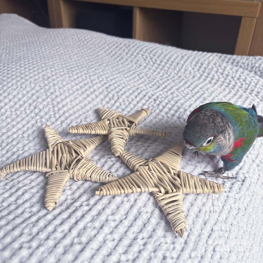 Pack of 3 Large Woven Vine Stars Parrot Toy Making Parts - Northern Parrots