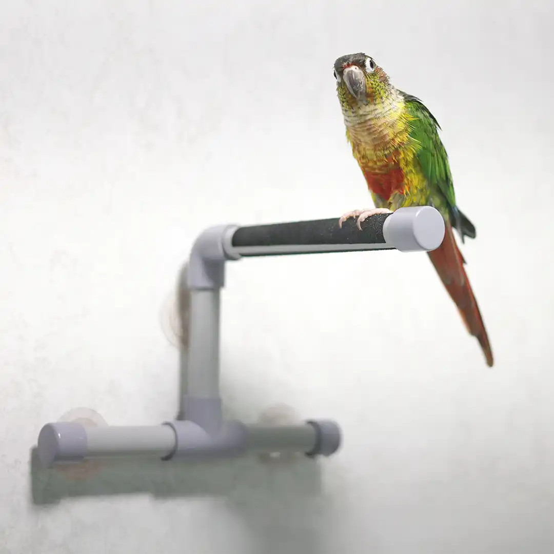 Shower and Window Sanded Parrot Perch Small - Northern Parrots