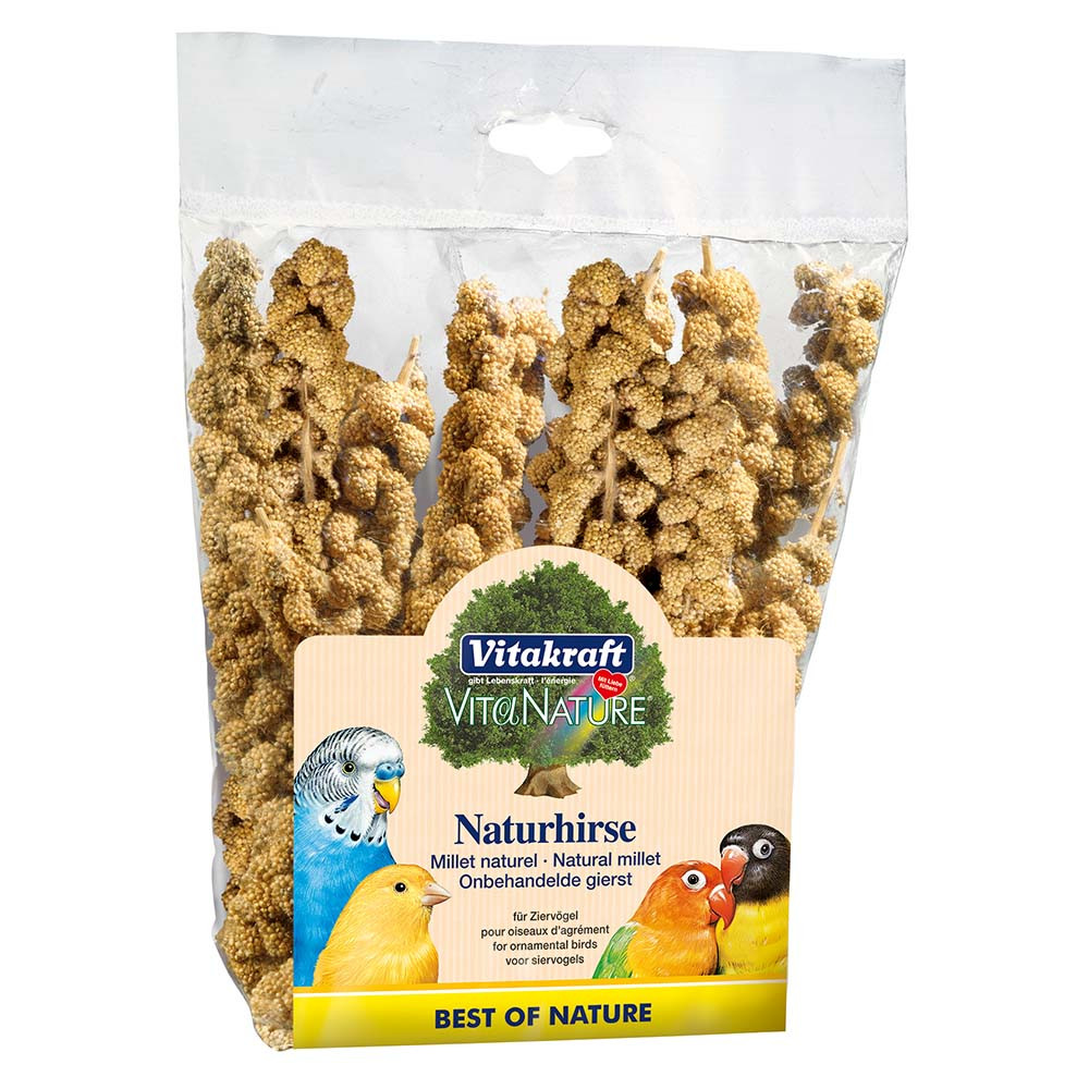 Parrot Food | Free UK Delivery | Northern Parrots