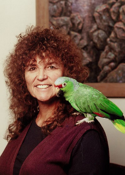 An Old Parrot Part 1 - Northern Parrots