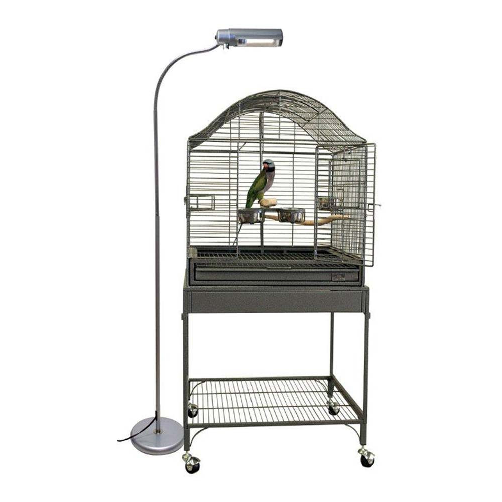 Avian Sun Deluxe UV | Floor Light Stand for Parrots