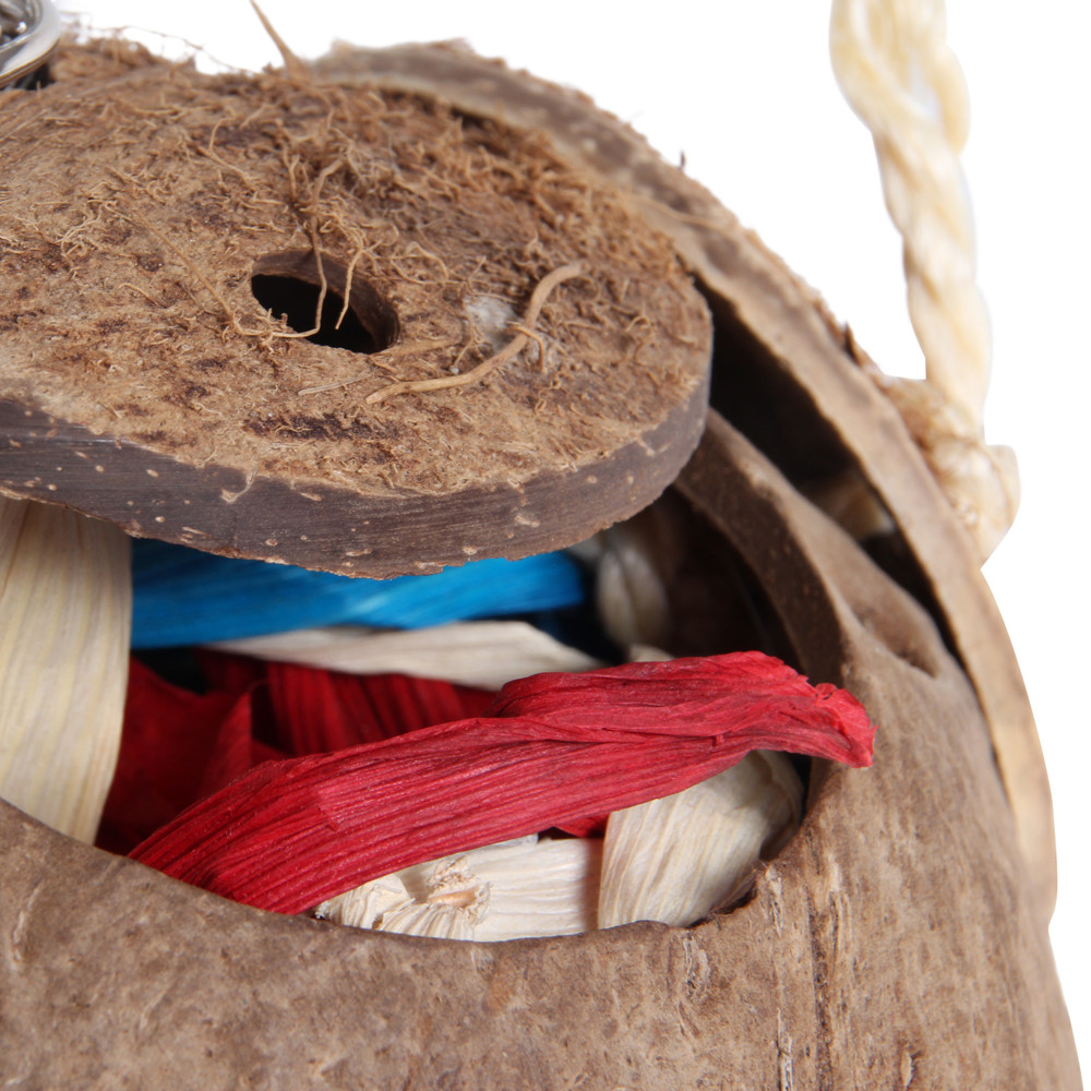 Coco Loco Foraging Parrot Toy - Northern Parrots