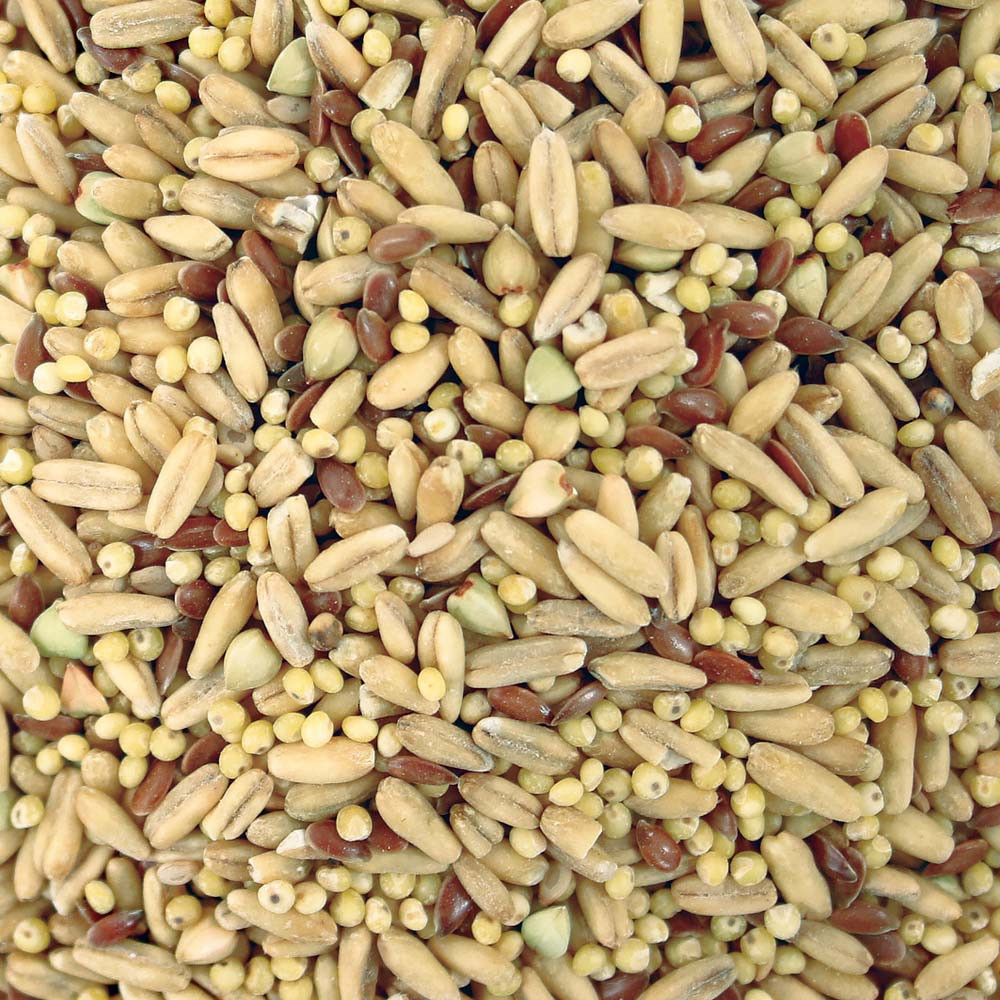 TOP's Napoleon Seed Mix | For Small Parrots 1lb