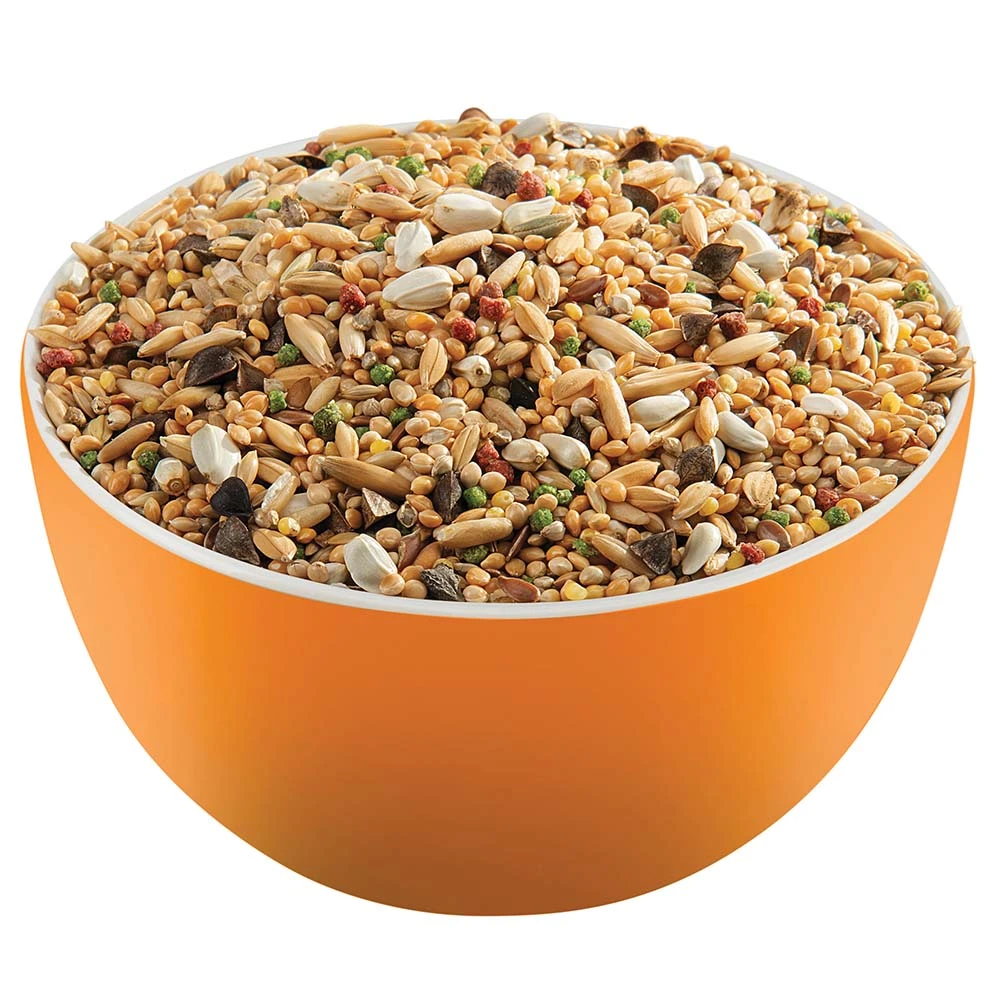 Prestige Loro Parque | African Parakeet Blend 1kg