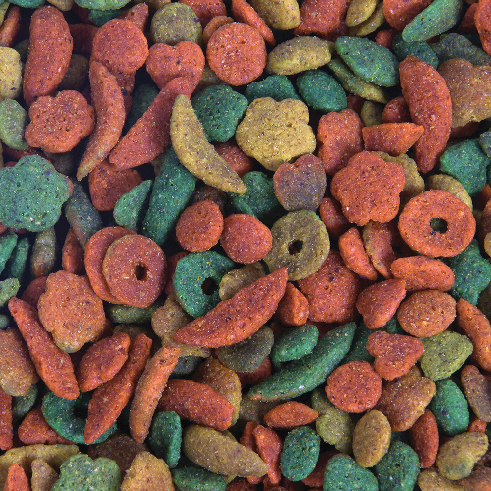 Nutribird P15 Tropical | Complete Parrot Diet 10kg