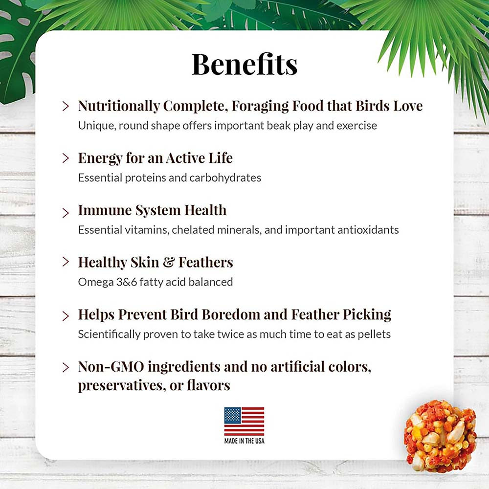 Lafeber NutriBerries Tropical Fruit | Cockatiel & Budgie Food Case of 12