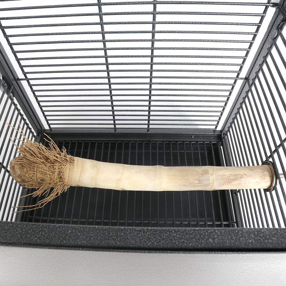 Bamboo Root Wood Natural Parrot Perch Medium - Northern Parrots