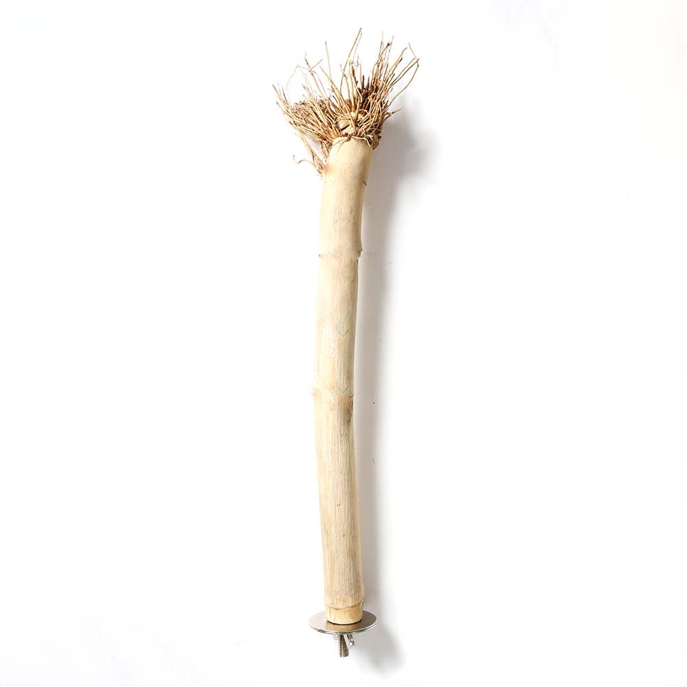 Bamboo Root Wood Natural Parrot Perch Small - Northern Parrots