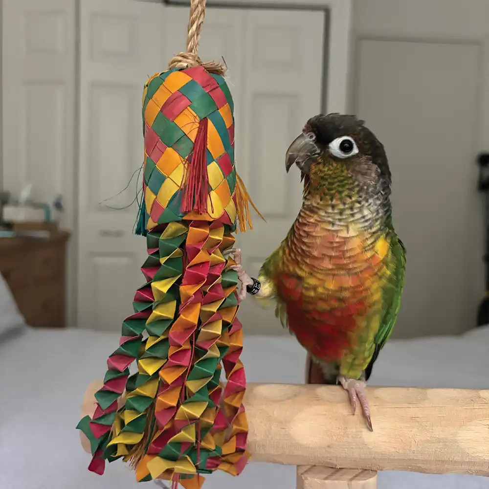 Octopus Pinata Small Natural Woven Palm Leaf Parrot Toy - Northern Parrots