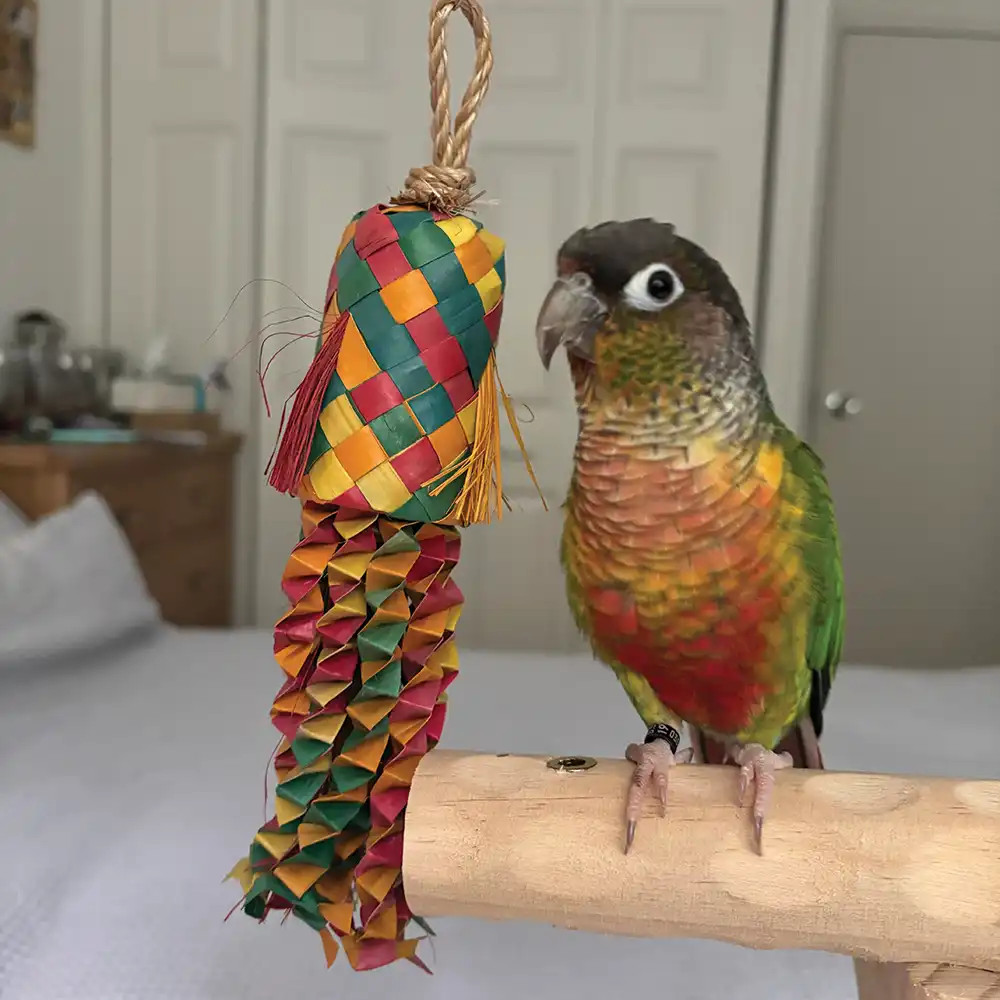 Octopus Pinata Small Natural Woven Palm Leaf Parrot Toy - Northern Parrots