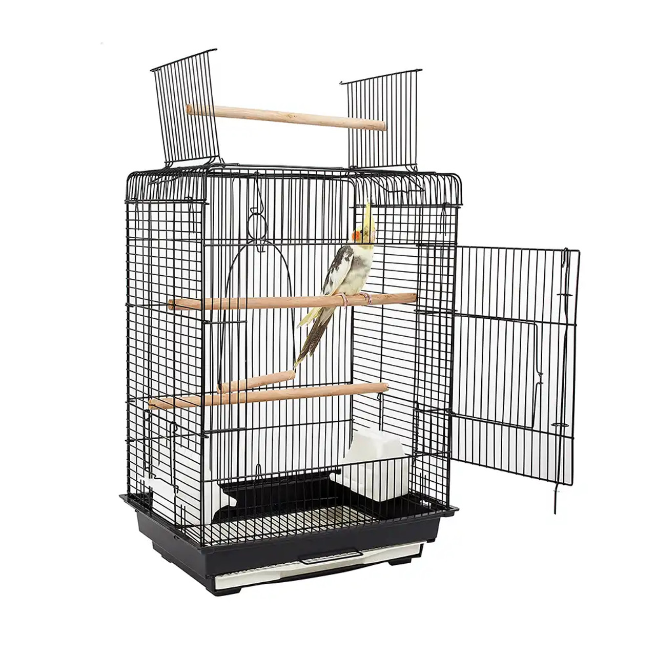 Best place to buy bird cages store