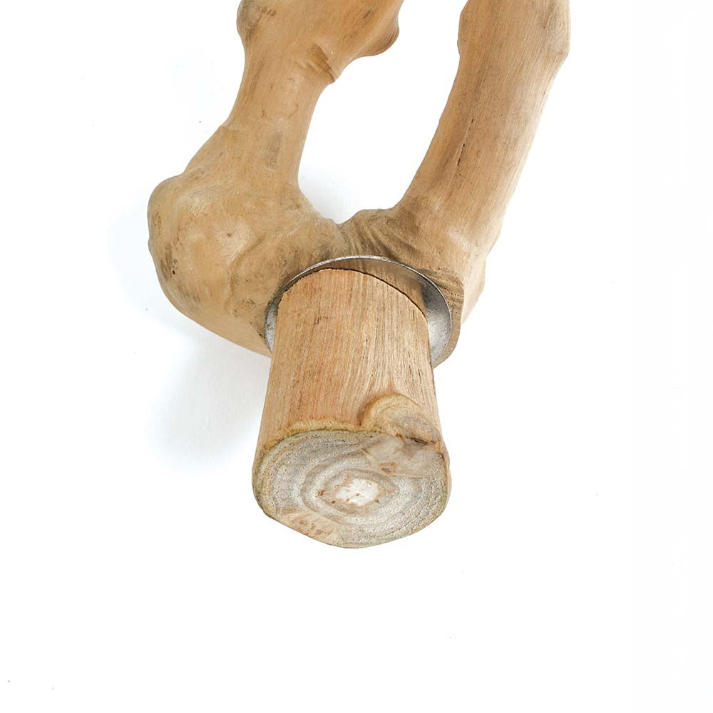 Small Java Multibranch Natural Parrot Perch - Northern Parrots