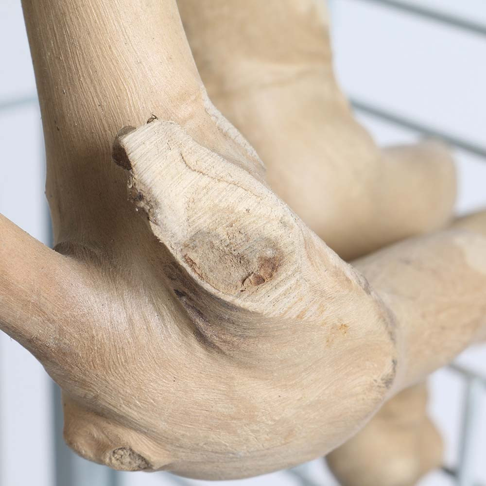 Small Java Multibranch Natural Parrot Perch - Northern Parrots