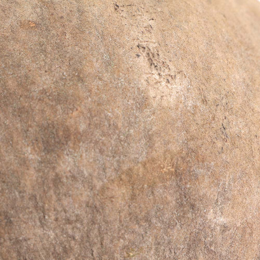 Buddha Nut Shell Chew Natural Parrot Toy - Northern Parrots