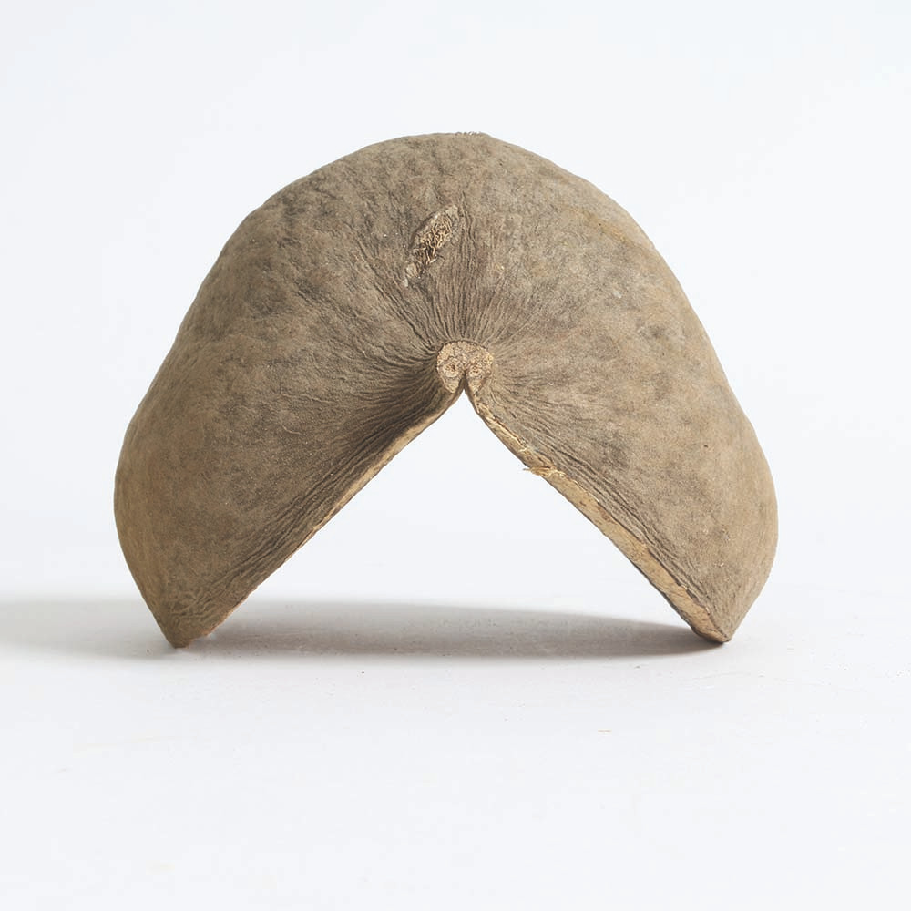 Buddha Nut Shell Chew Natural Parrot Toy - Northern Parrots