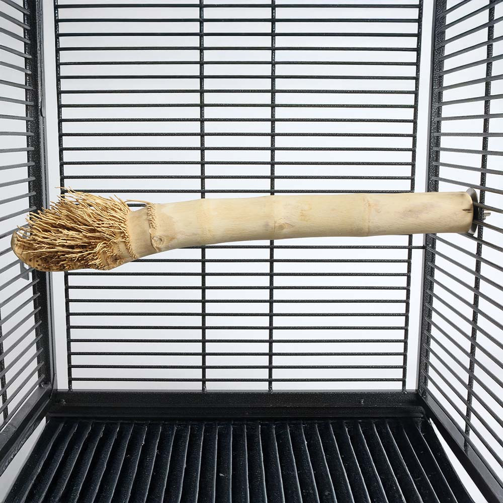Bamboo Root Wood Natural Parrot Perch Large - Northern Parrots